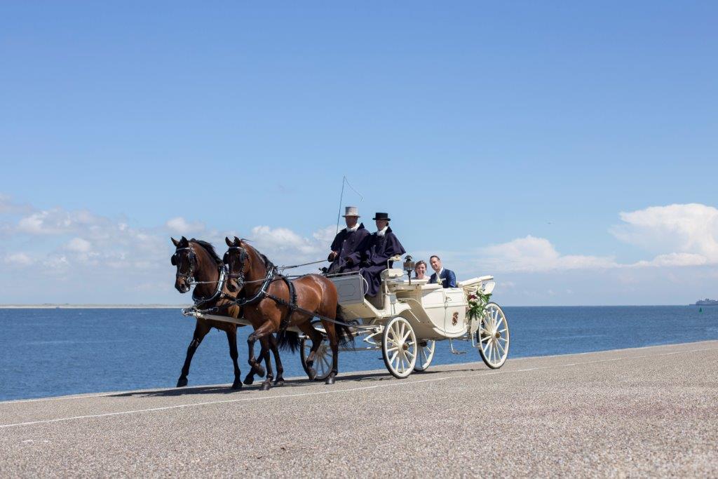 roomwitte koets, trouwkoets, witte koets, friese paarden, glaslandauer ...