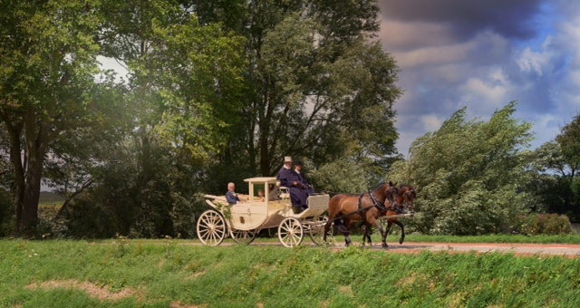 Stalhouderijdewestfries, Trouwkoets, roomwitte trouwkoets, koets,witte ...