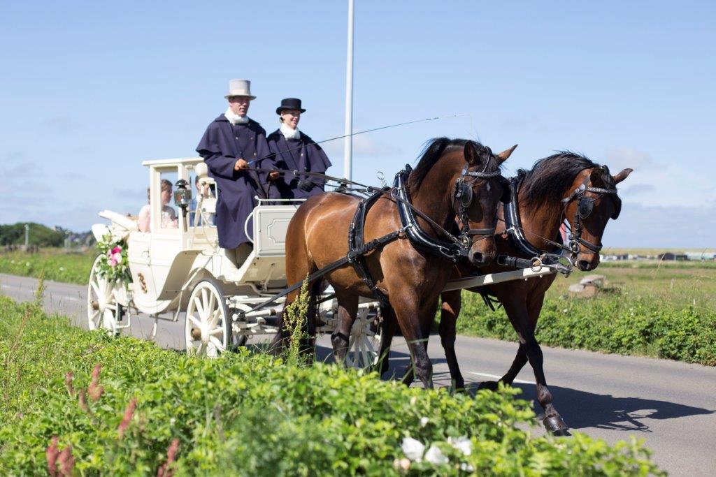 roomwitte koets, trouwkoets, witte koets, friese paarden, glaslandauer ...